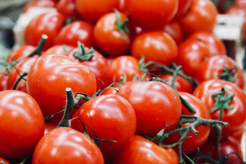 FilmOrganic - Certified biodegradable plastic mulch film