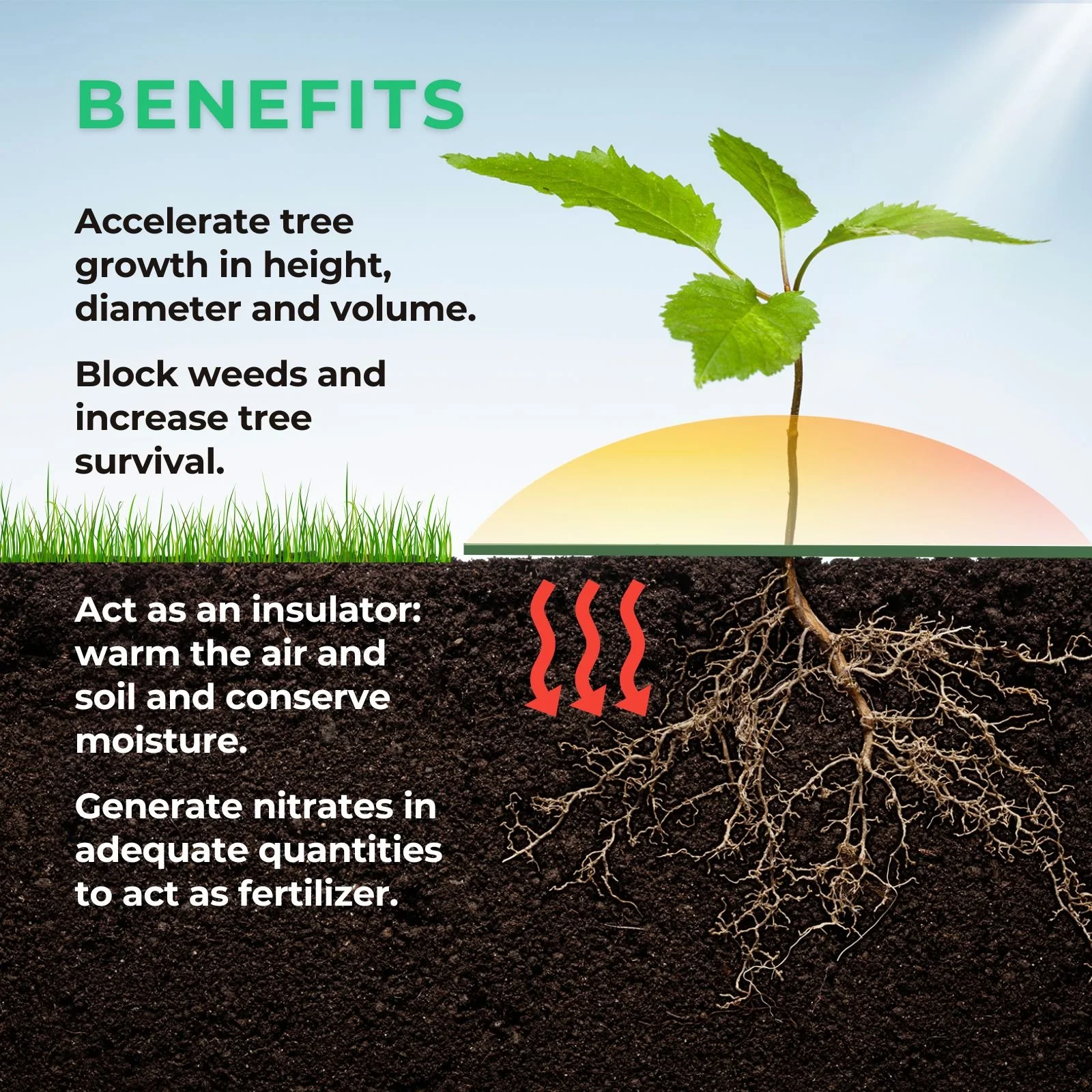 Organic Guard: a high-performance biodegradable membrane that respects ...