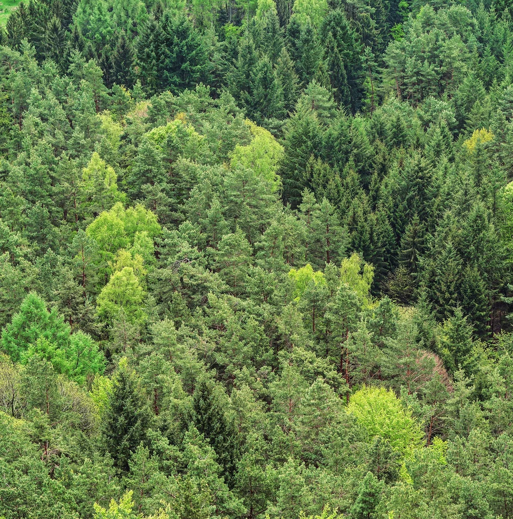 Organic Guard - Soil-biodegradable membrane — FilmOrganic