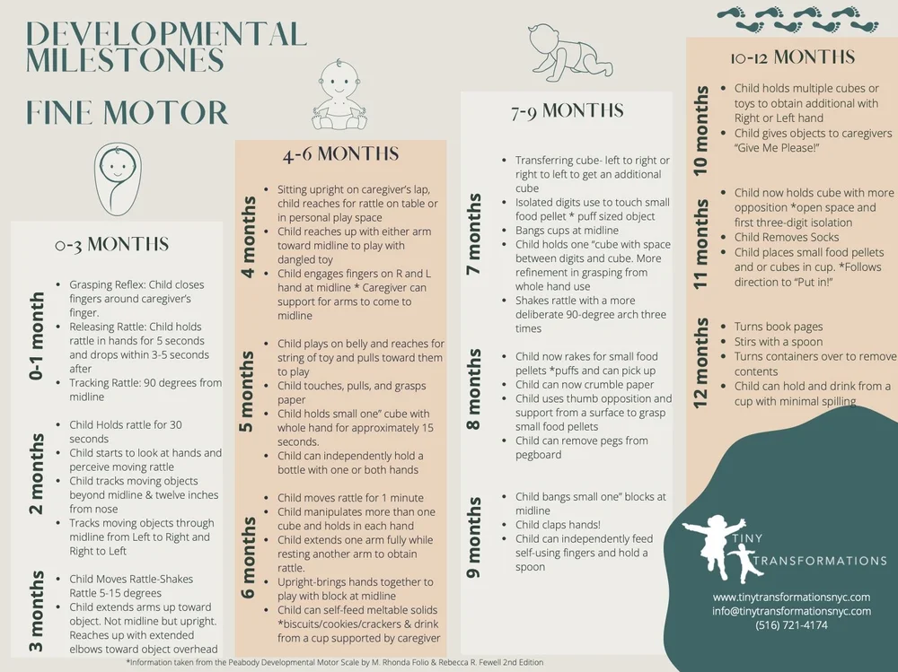 Developmental Milestones: Fine Motor Skills — Tiny Transformations