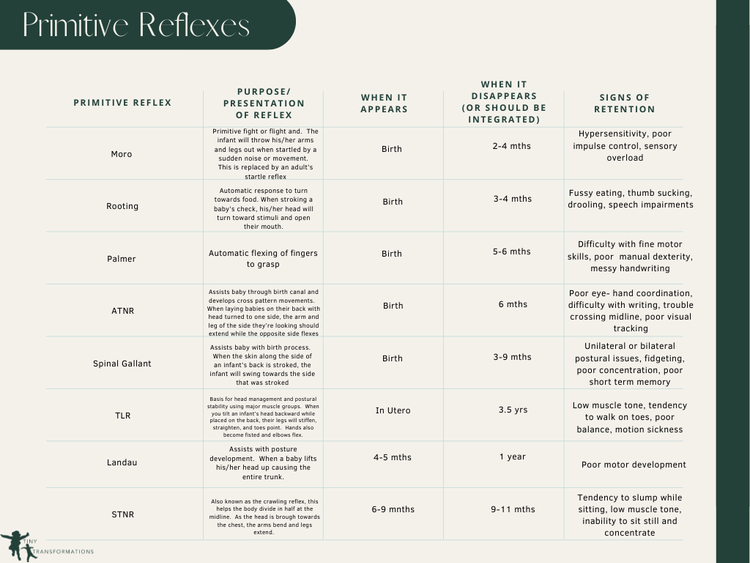 Understanding Primitive Reflexes and Their Impact on Child Development — Tiny Transformations