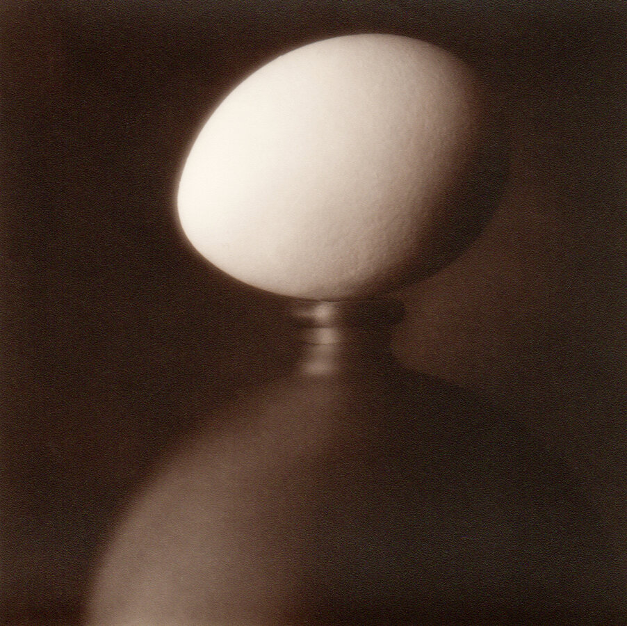 eggs — ION ZUPCU