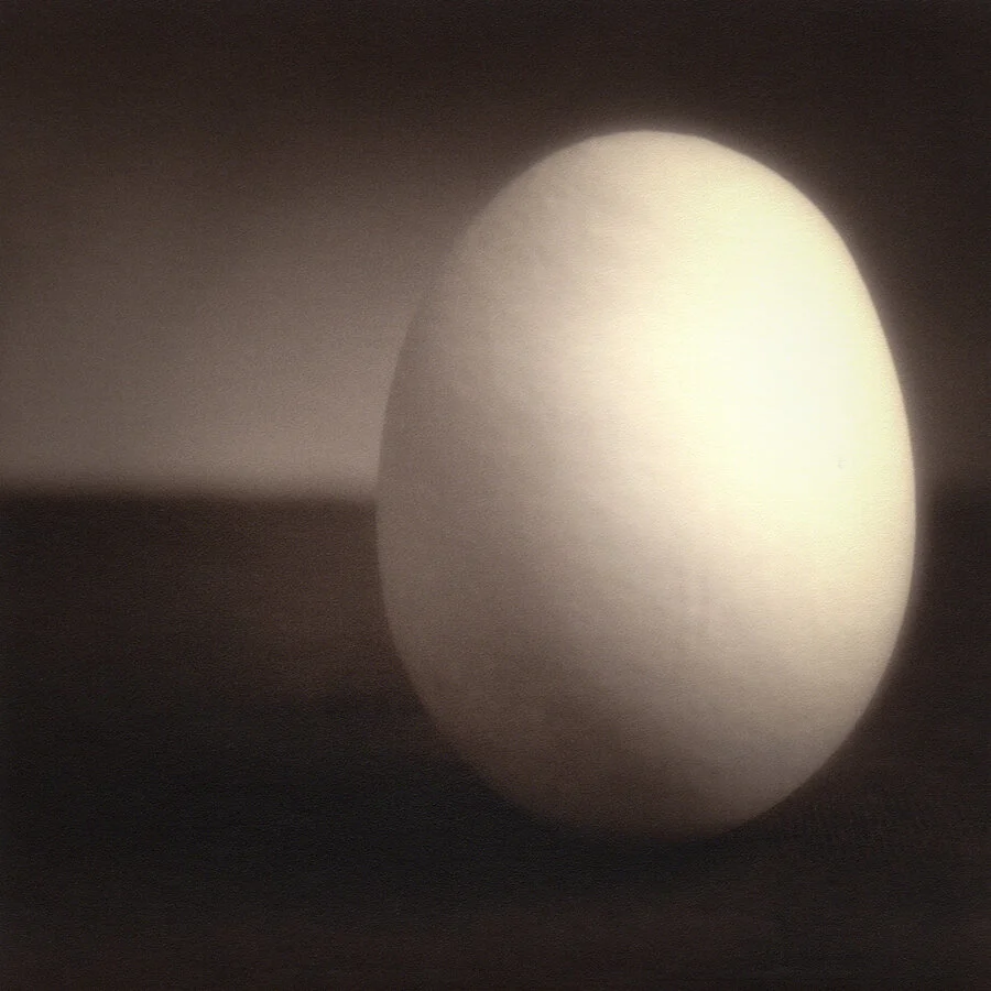 eggs — ION ZUPCU