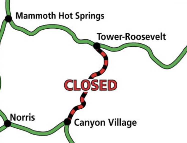 Top 10 Yellowstone Tips: You Need to Know — Today is Someday
