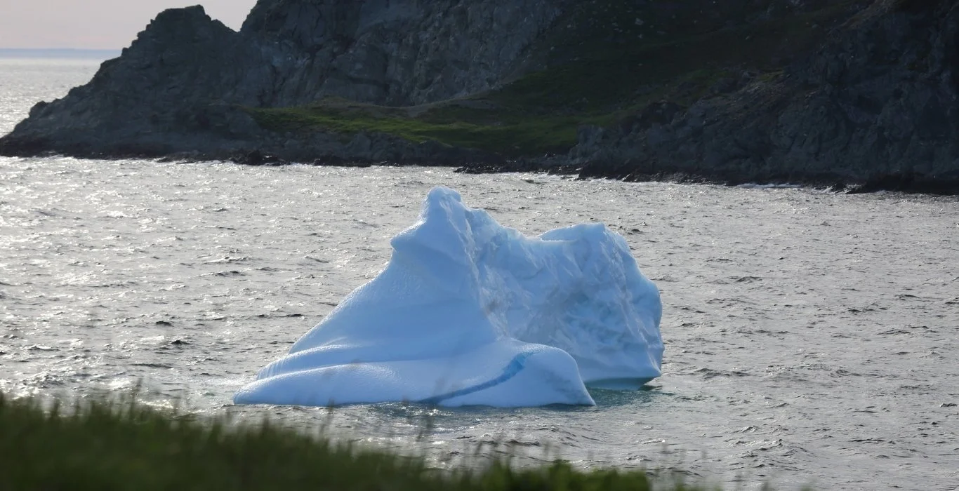 Why We Fell in Love with Newfoundland — Today is Someday