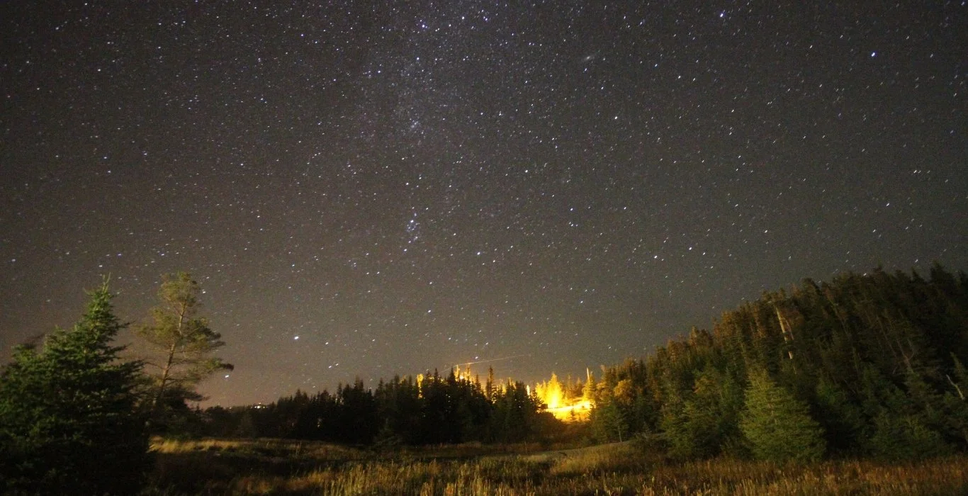 Why We Fell in Love with Newfoundland — Today is Someday