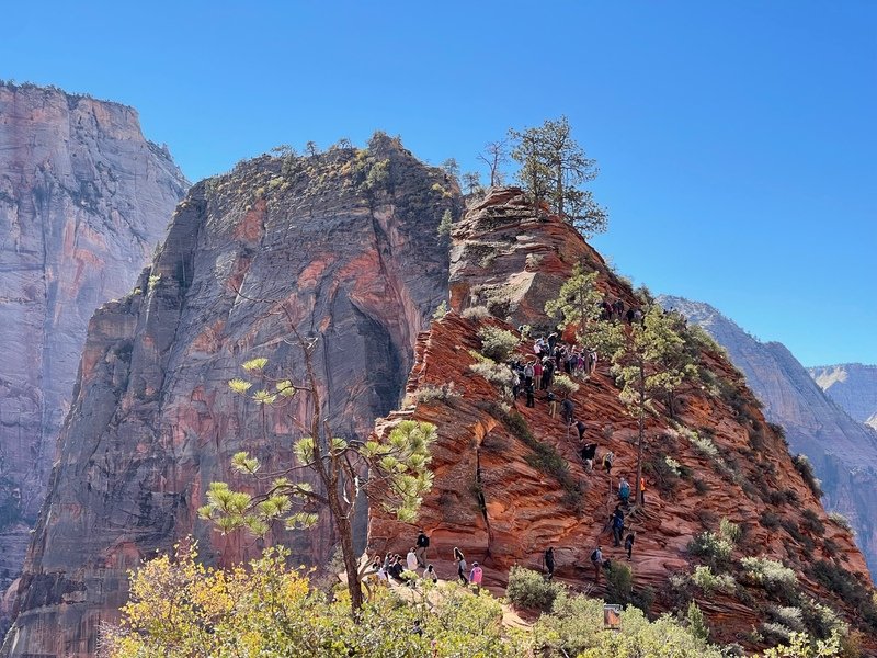 Zion National Park: A Must-See Natural Wonder! — Today is Someday