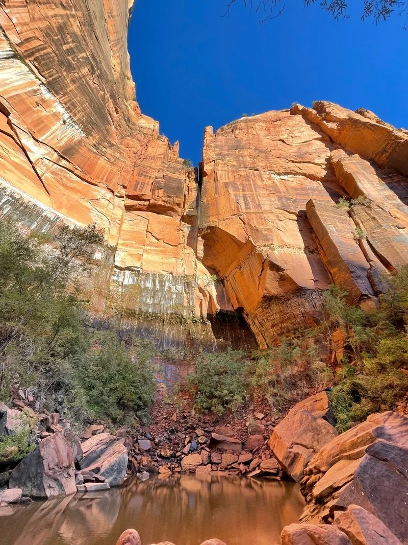 Zion National Park: A Must-See Natural Wonder! — Today is Someday