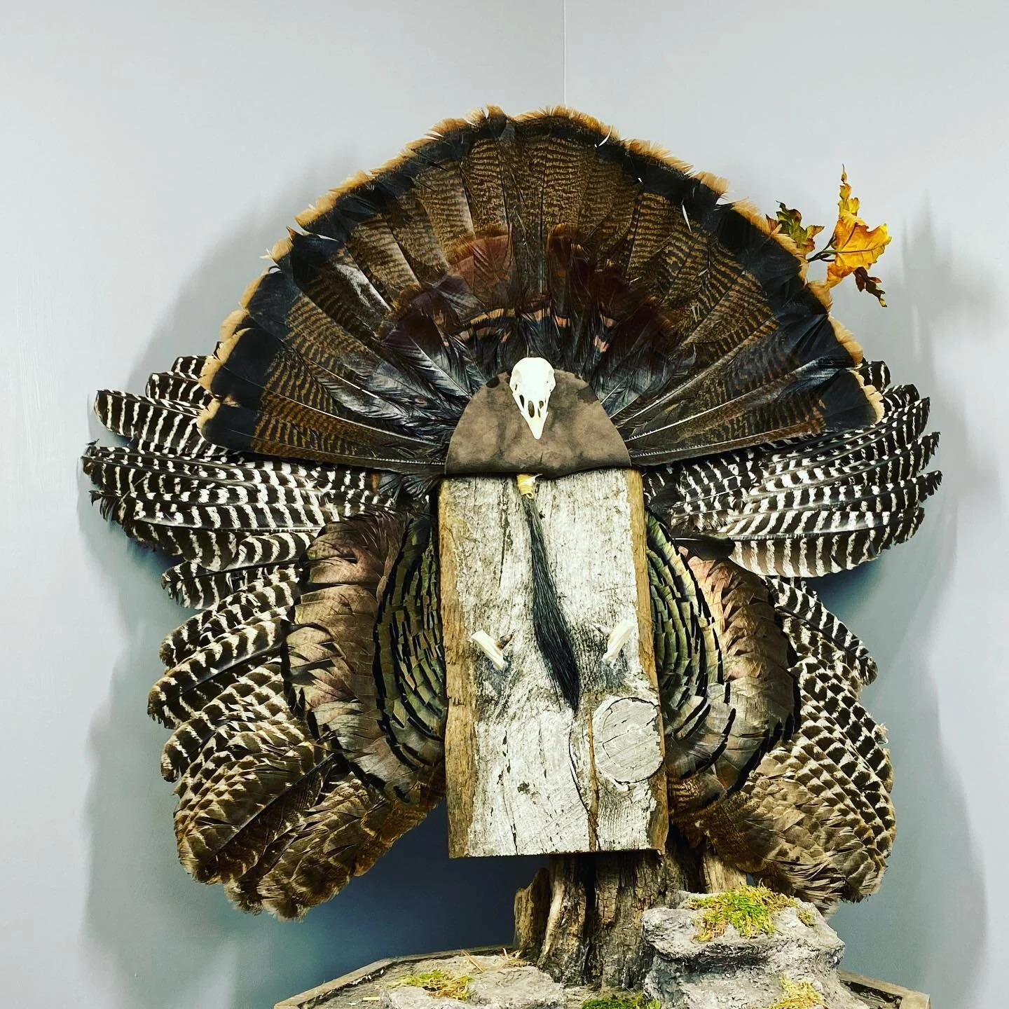 TMT Turkey Mounts — Turkey Mountain Taxidermy