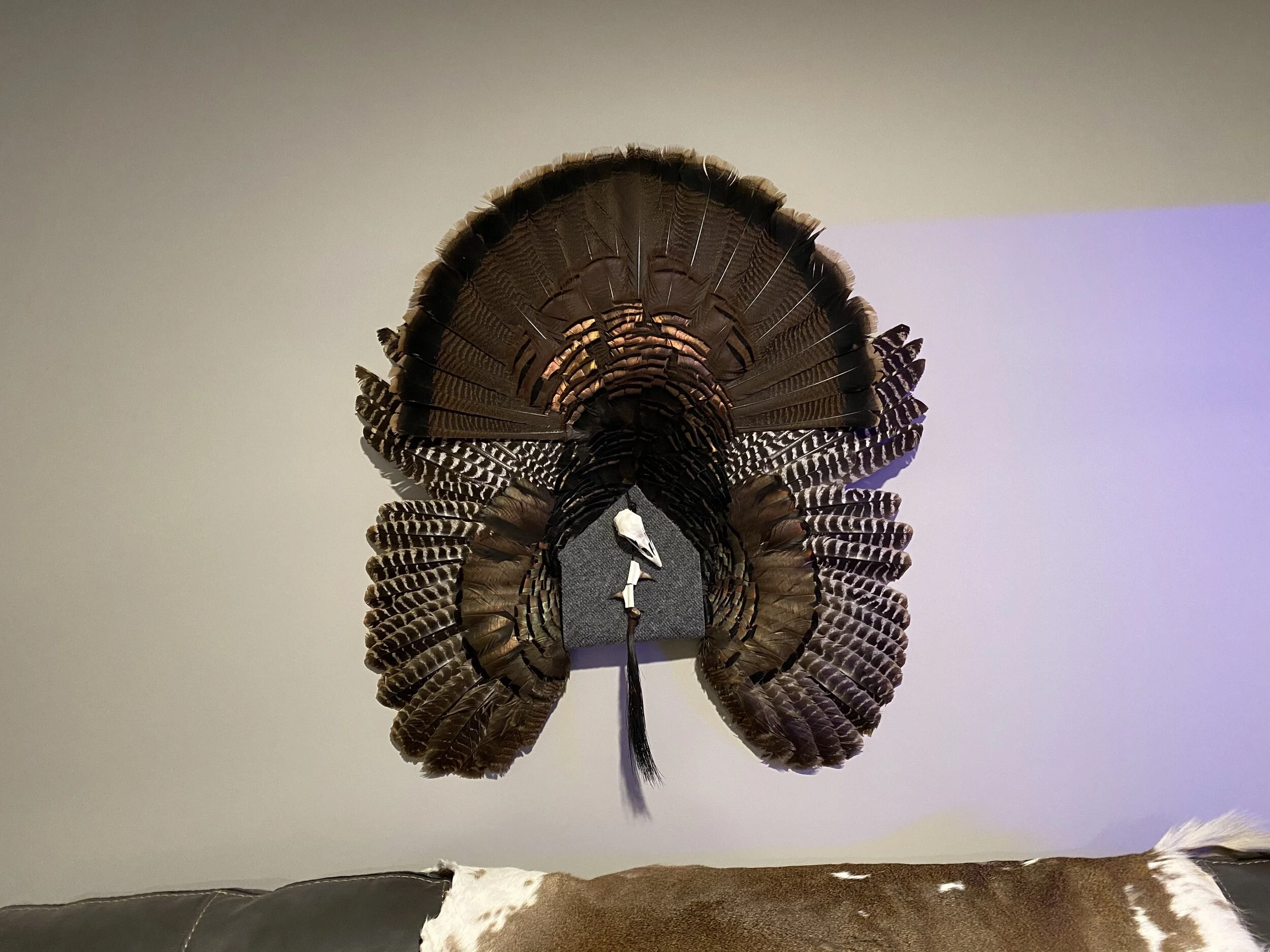 TMT Turkey Mounts — Turkey Mountain Taxidermy