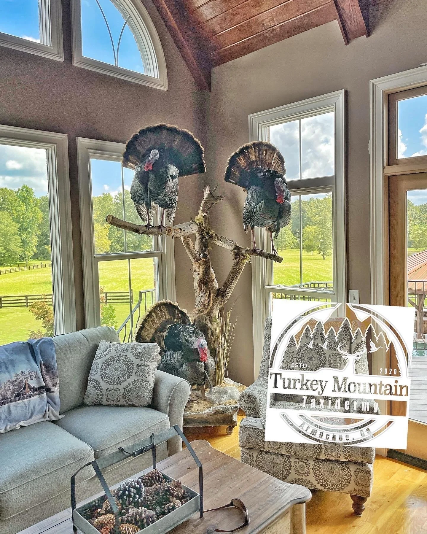 Turkey Mountain Taxidermy
