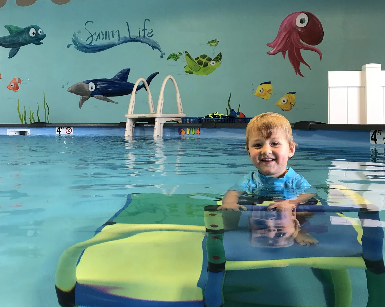 Contact Us — Swim Life