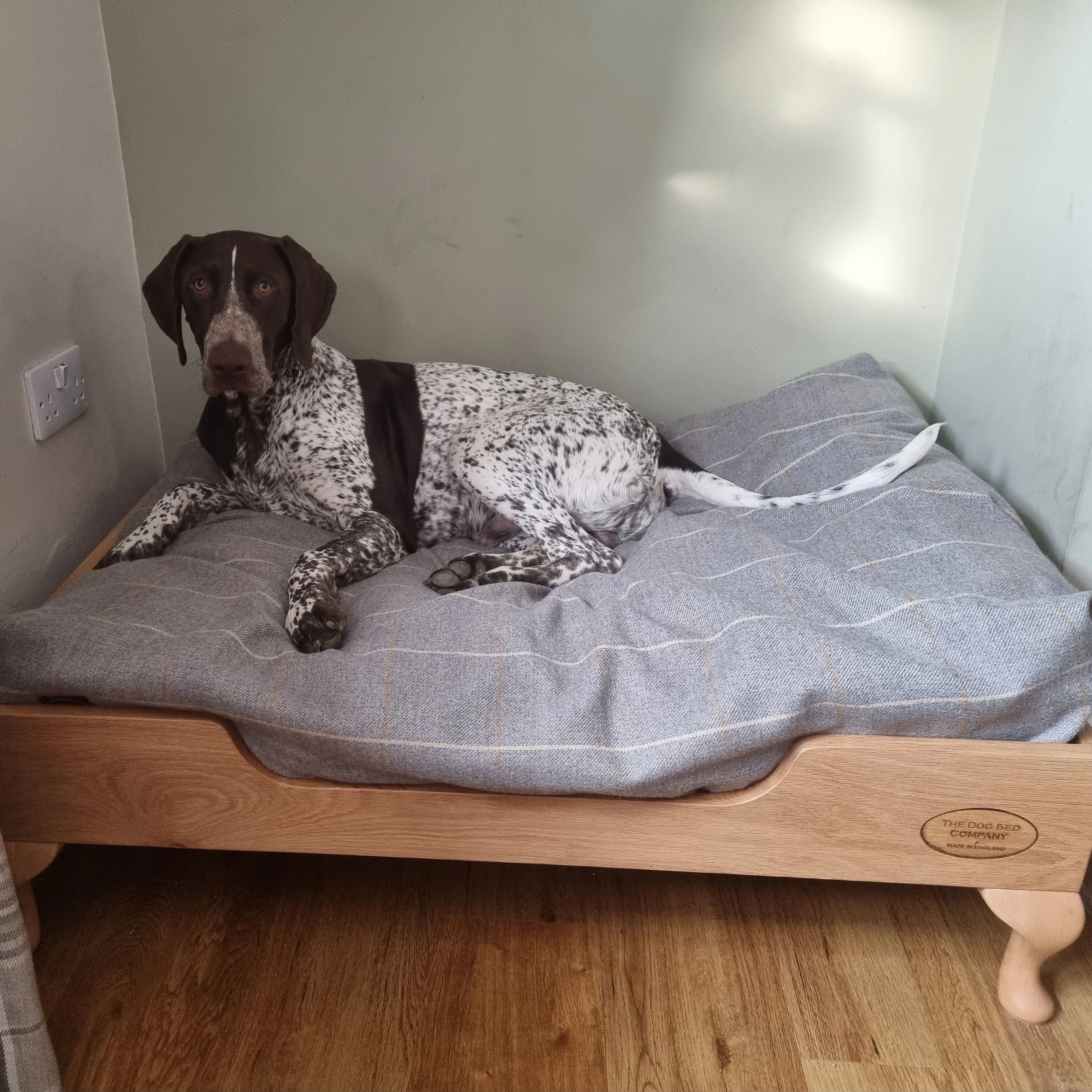 Shop Luxury Raised Wooden Dog Beds Mattresses Washable Covers Shop Luxury Raised Wooden Dog Beds Mattresses Washable Covers