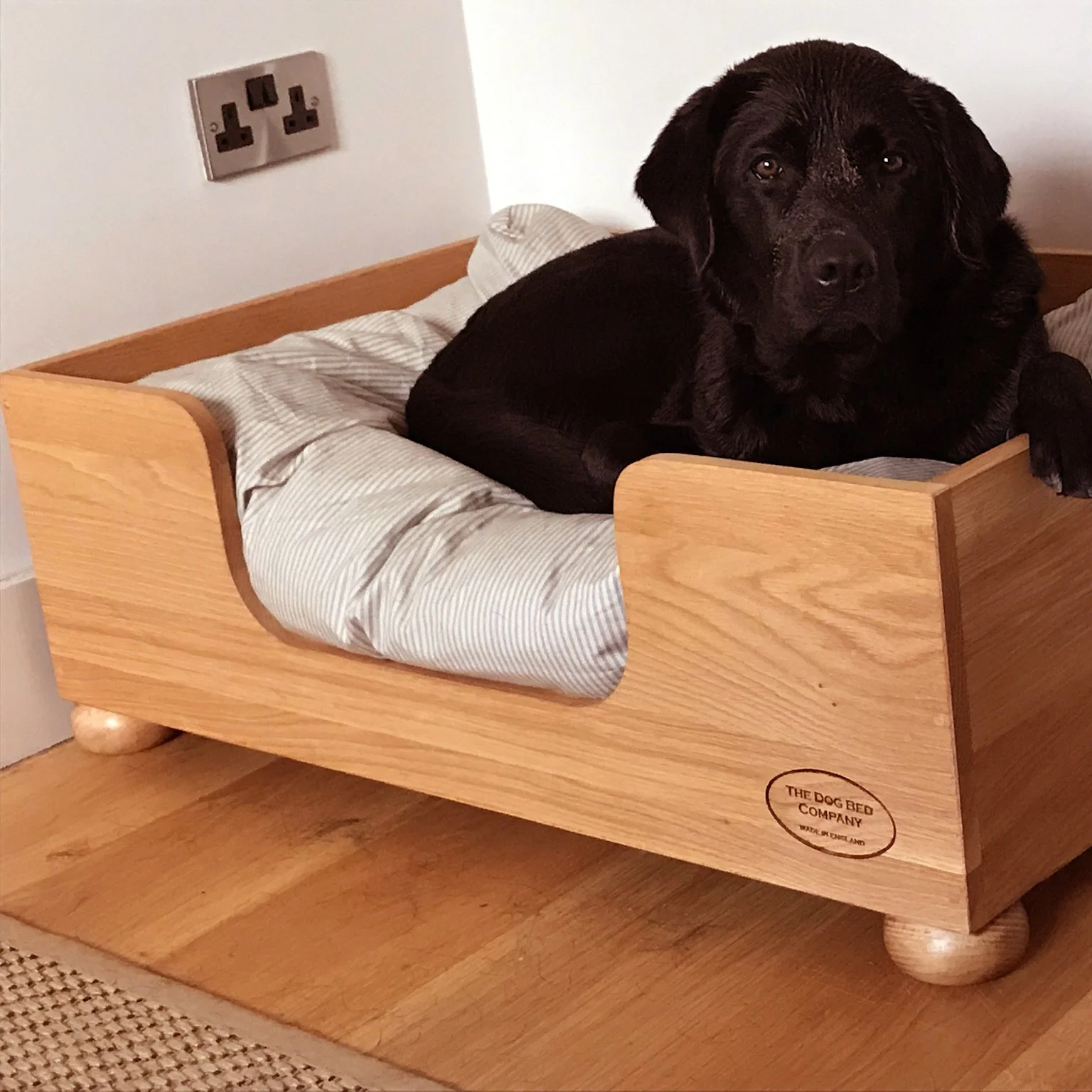 Shop Luxury Raised Wooden Dog Beds Mattresses Washable Covers Shop Luxury Raised Wooden Dog Beds Mattresses Washable Covers