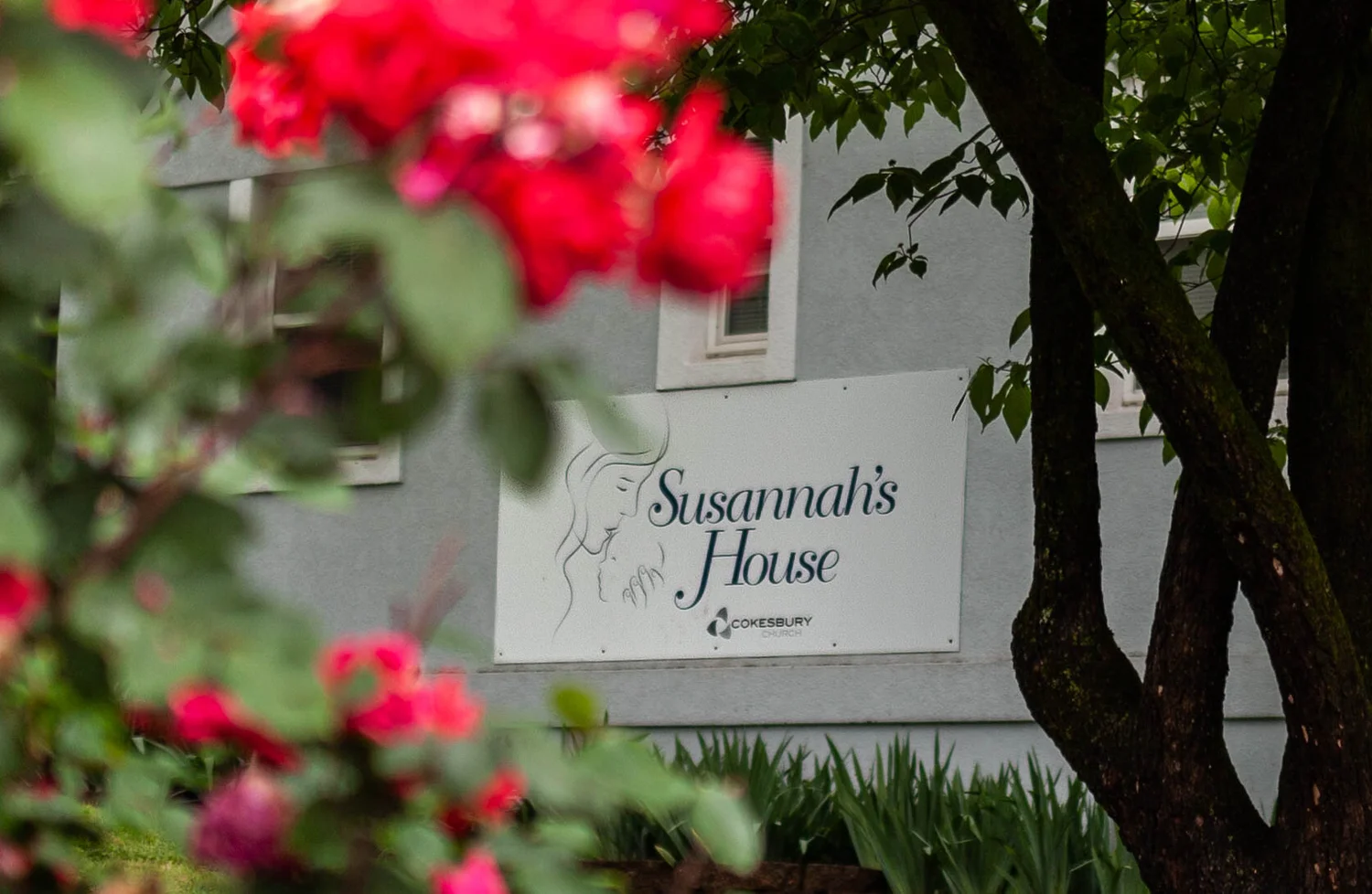 Services — Susannah's House