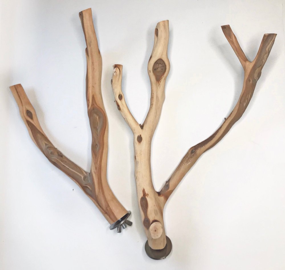 Elle’s Avian Essentials Kit for Medium Parrots — Elle and the Birds