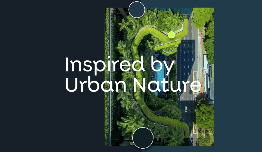 Infogrid — For Different