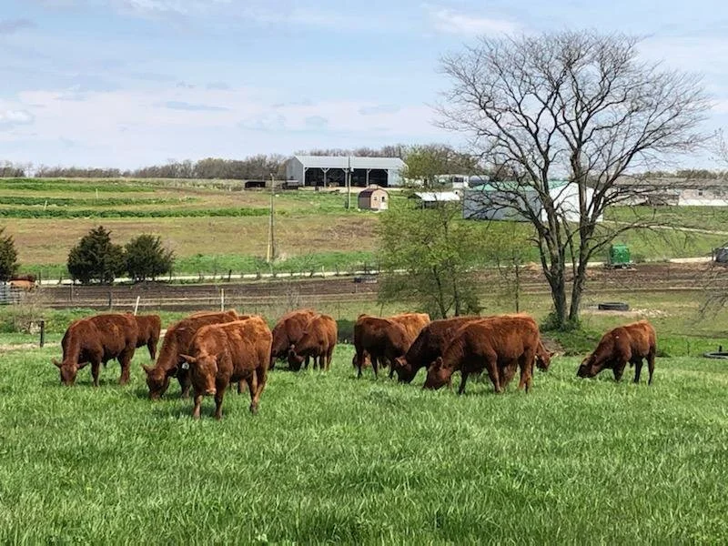 About — A & R Farms
