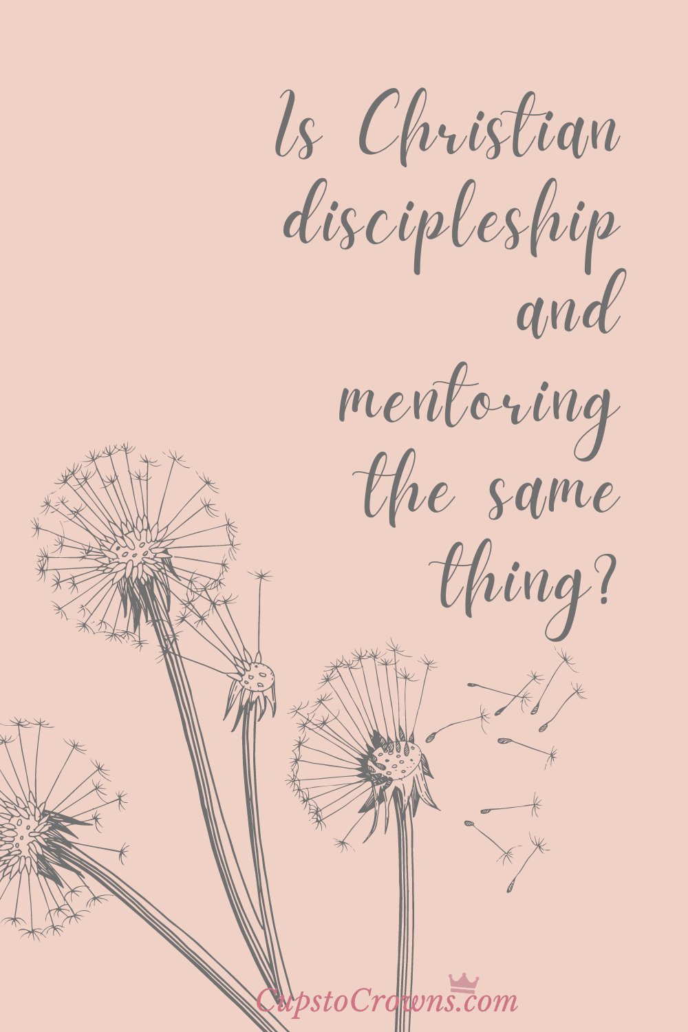 Christian Discipleship and Mentoring — Cups to Crowns