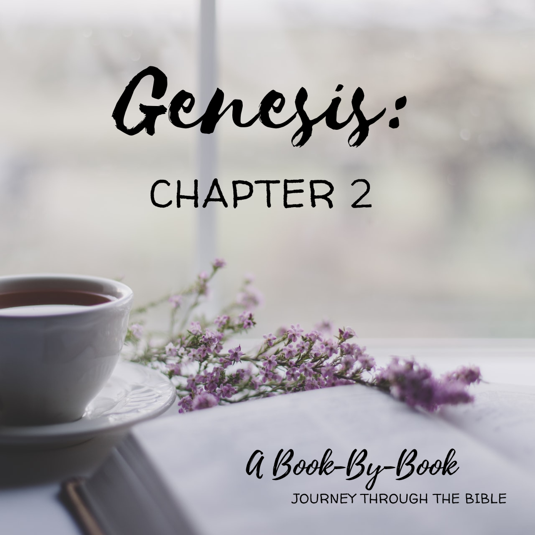 Genesis Chapter 2: The Garden, Adam, and Eve — Cups to Crowns