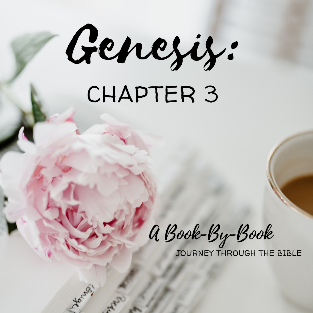 Genesis Chapter 5: The Genealogy Of Mankind From Adam To Noah — Cups to Crowns