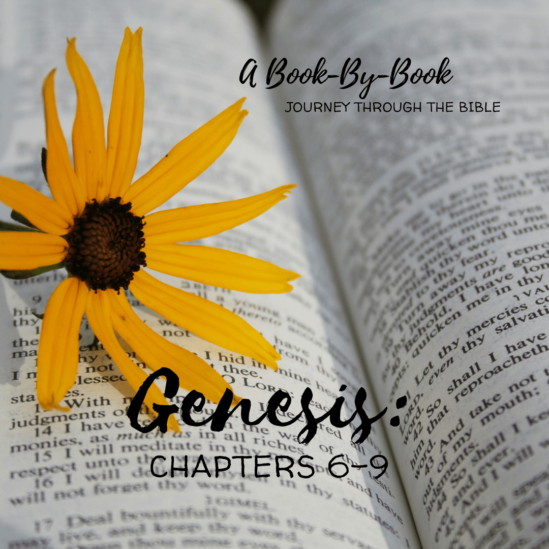 Genesis Chapters 6-9: Noah, A Righteous Man Who Walked With God — Cups ...