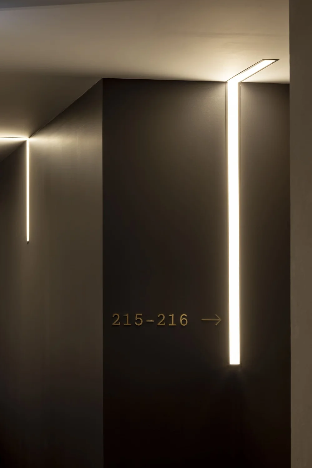 Mayfair Hotel — Lume Design