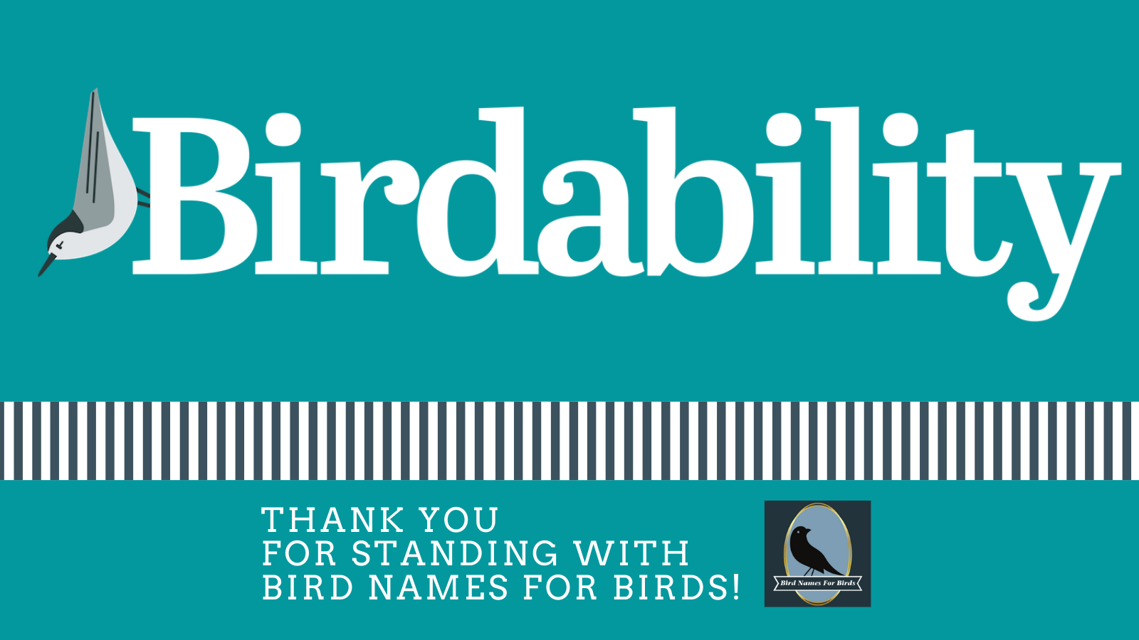 Why bird names matter to Birdability — Birdability