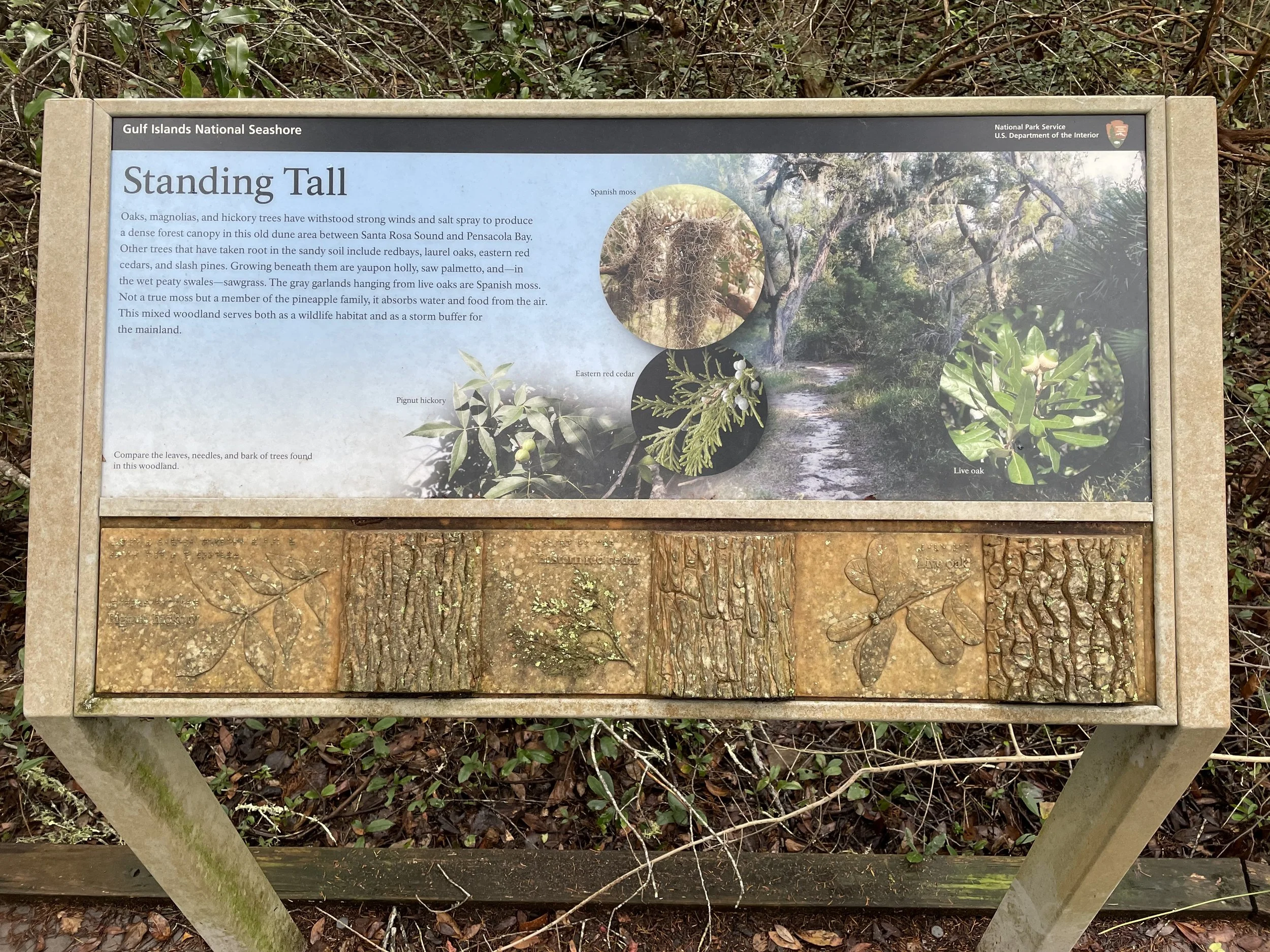 Accessible interpretive signs we love! — Birdability