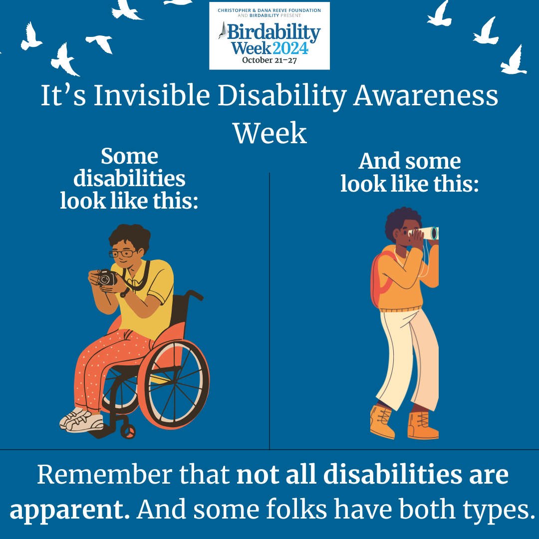 Embracing the Unseen - Birding, Invisible Disabilities, and the ...