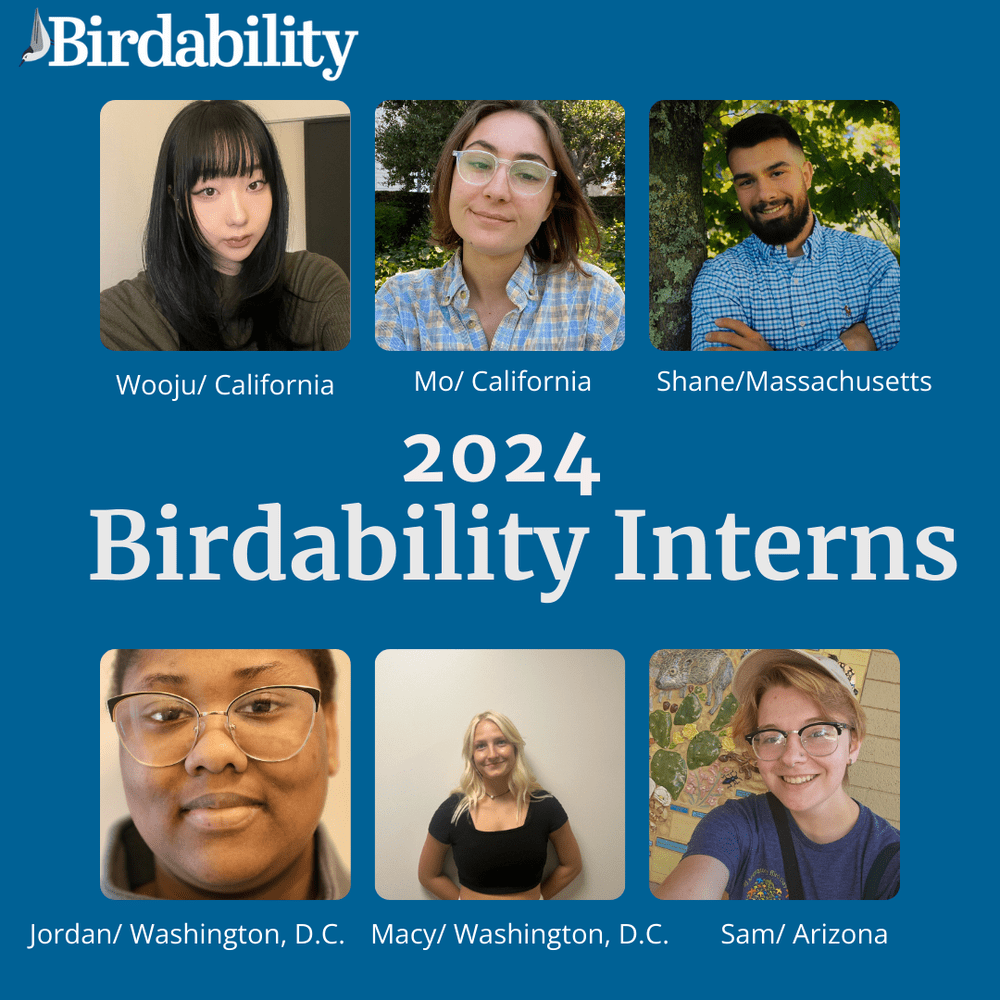 Celebrating the 2024 Birdability Interns — Birdability