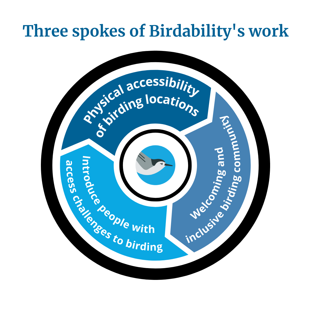 Our values — Birdability