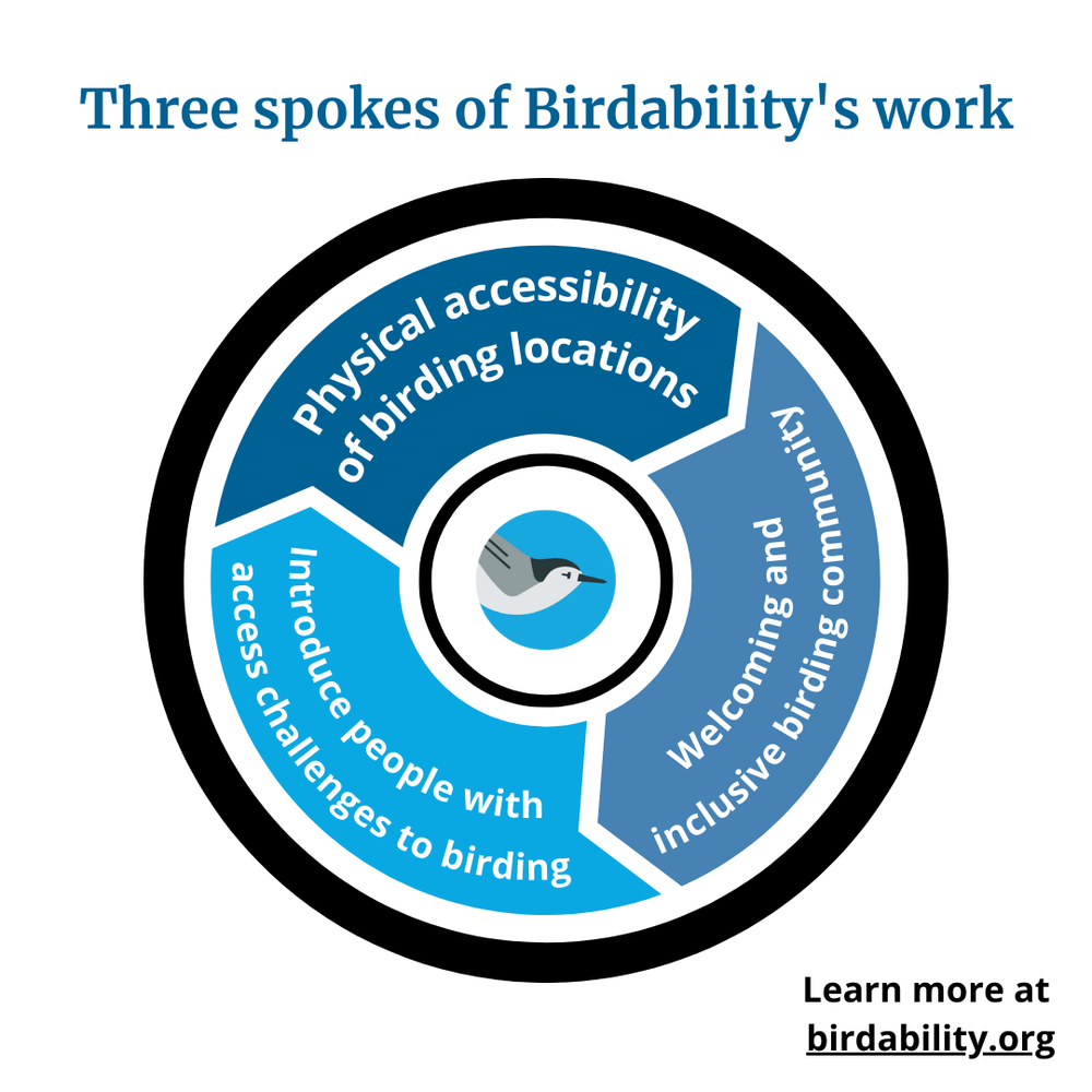 What we do — Birdability