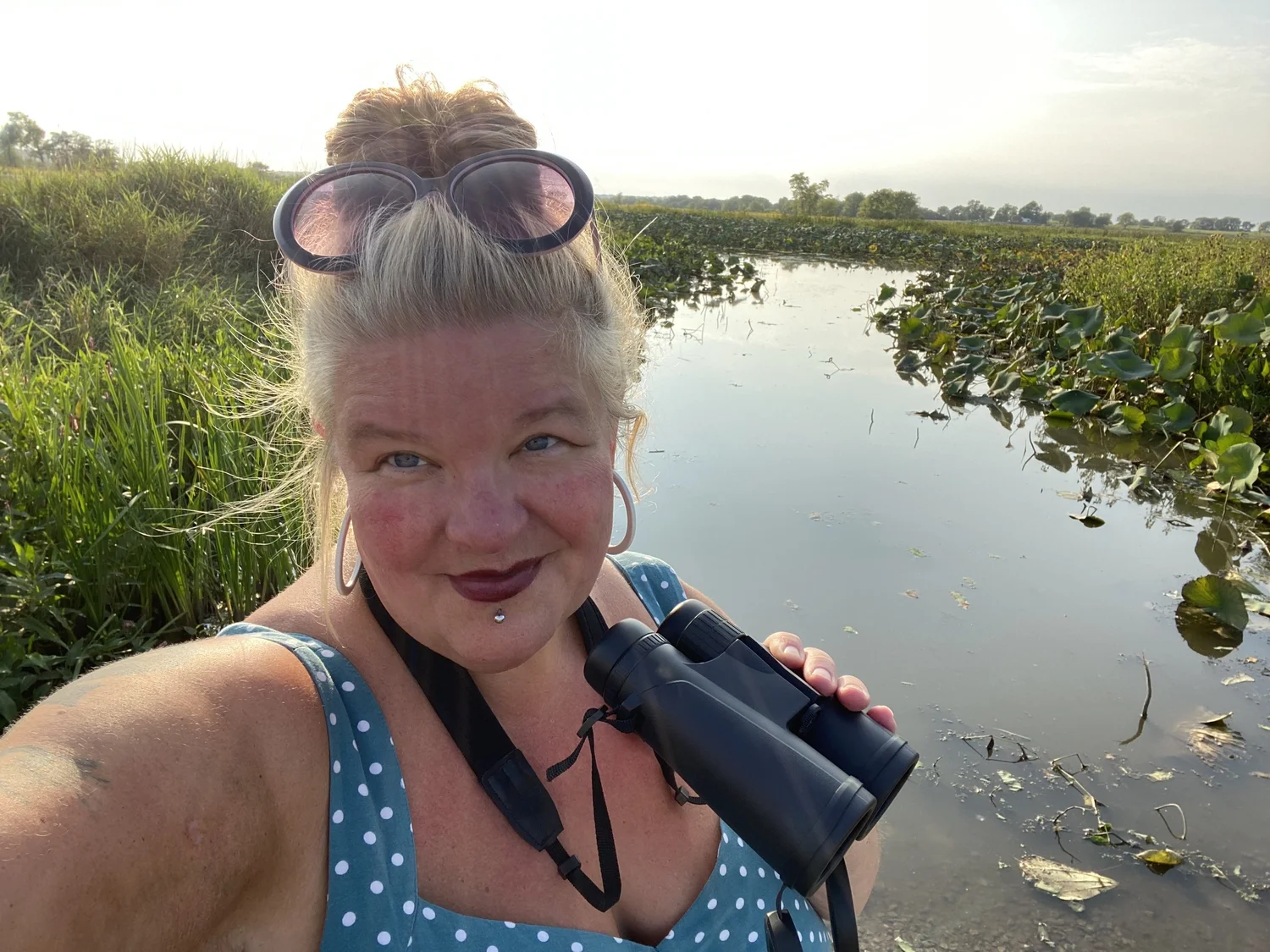 Who we are — Birdability