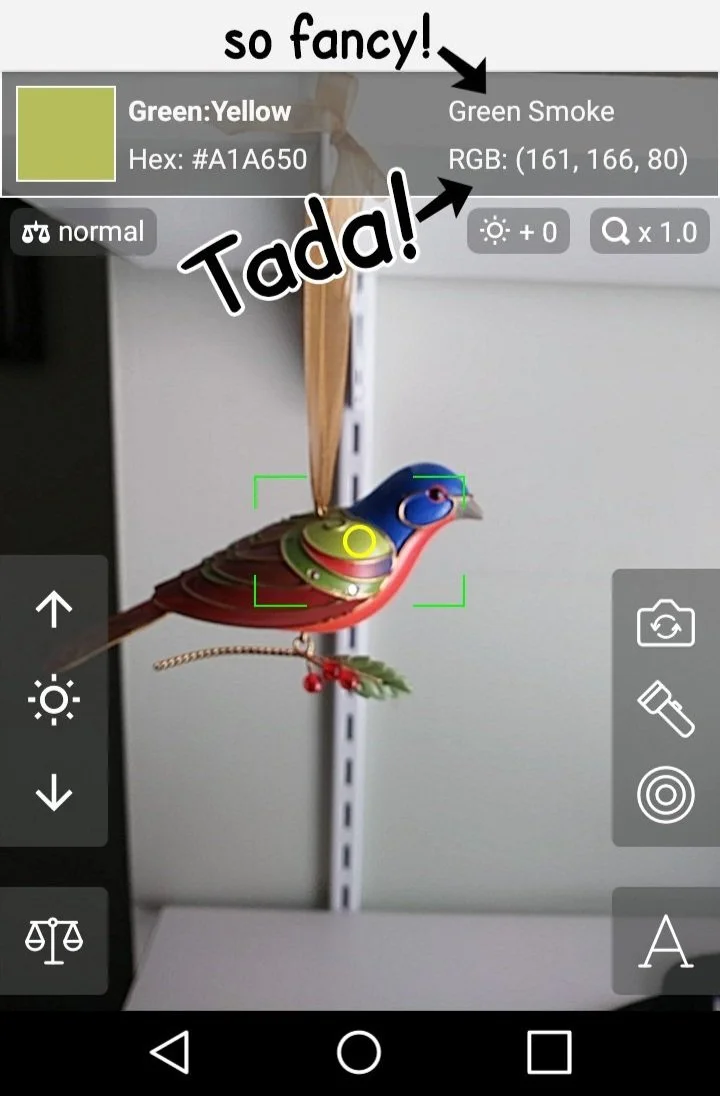 Birding and creating comics while colorblind — Birdability