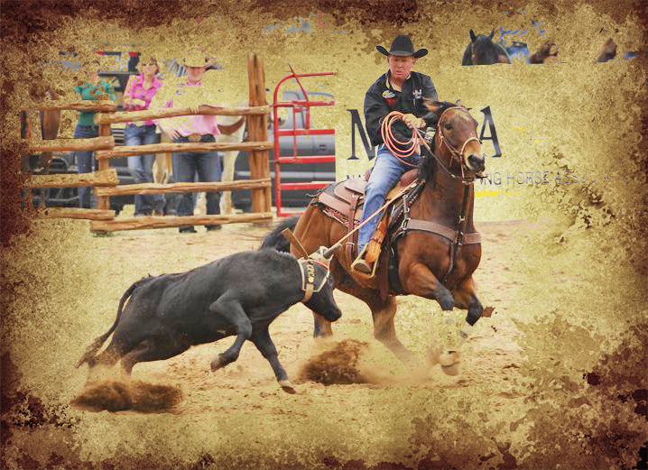 Team Roping Wallpaper