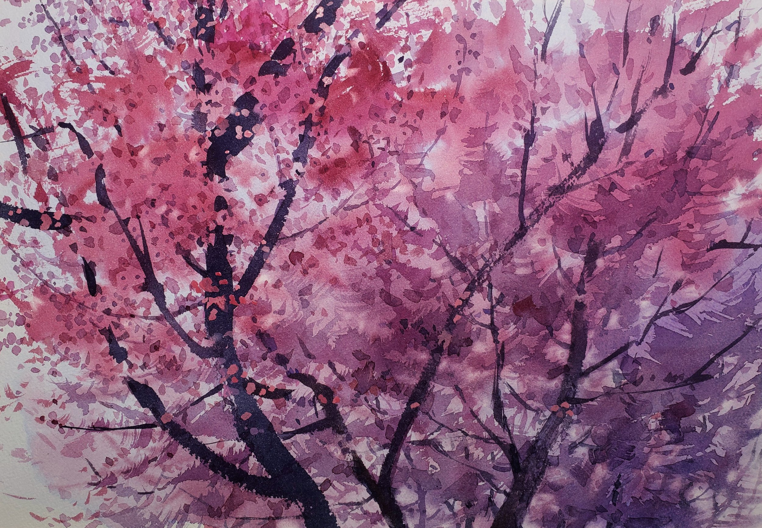 Store 1 — Yong Hong Zhong Watercolor