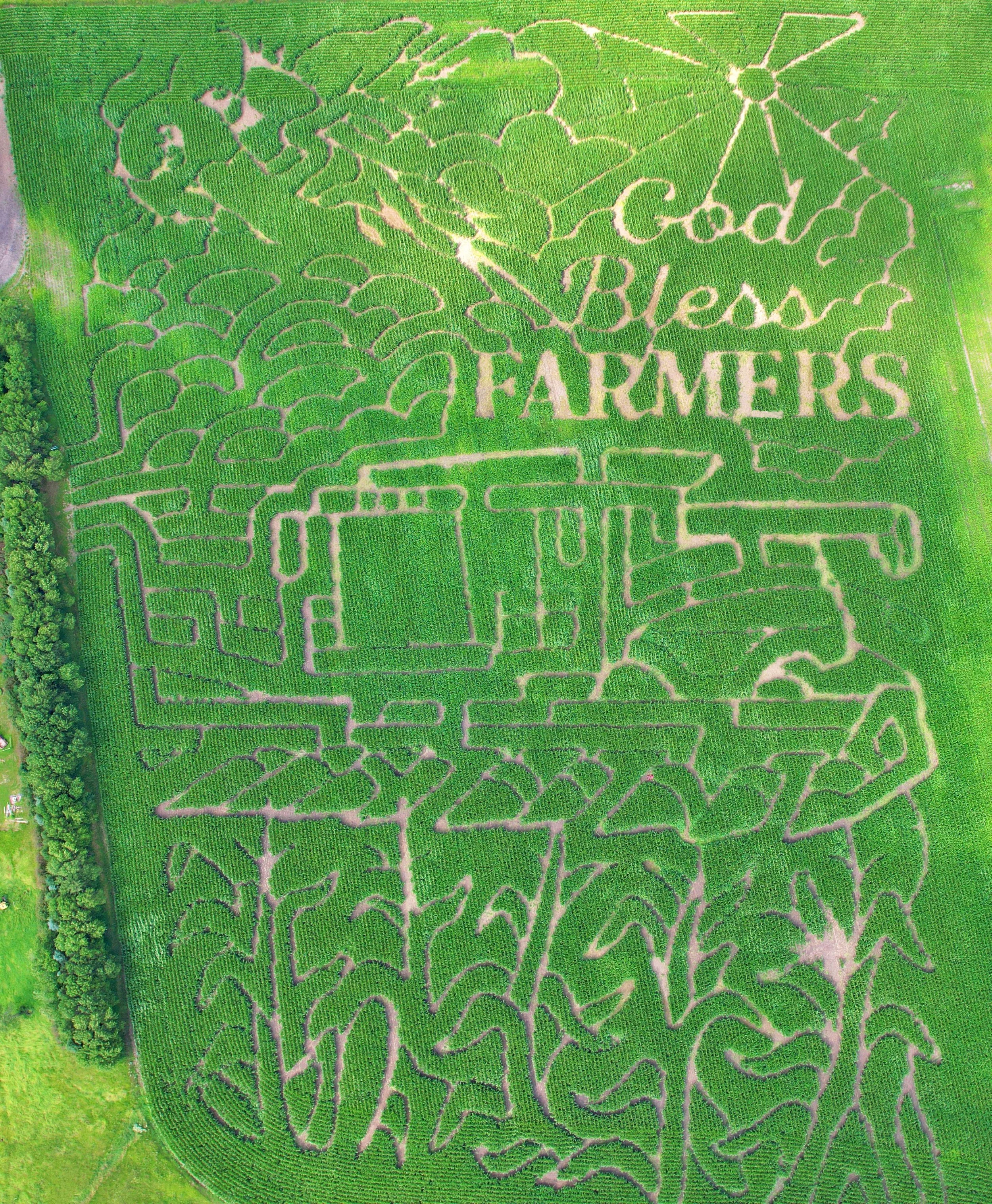 Back Forty Beef Adventure Farm and Corn Maze