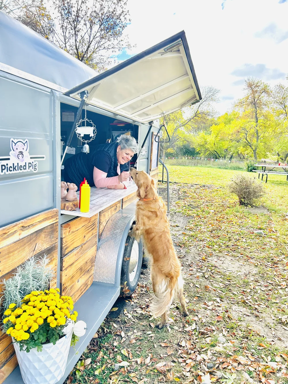 Back Forty Beef Adventure Farm and Corn Maze