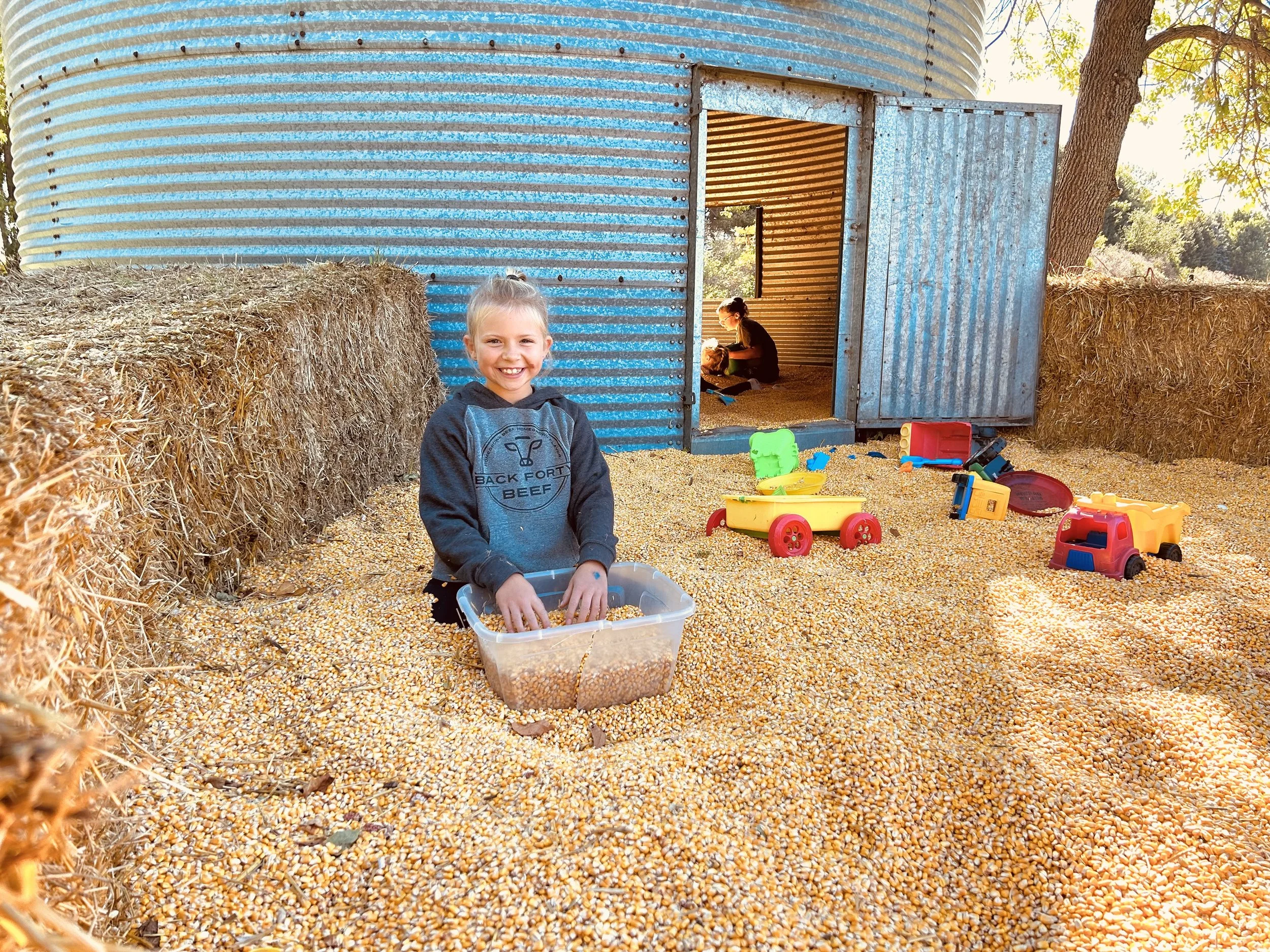 Back Forty Beef Adventure Farm and Corn Maze
