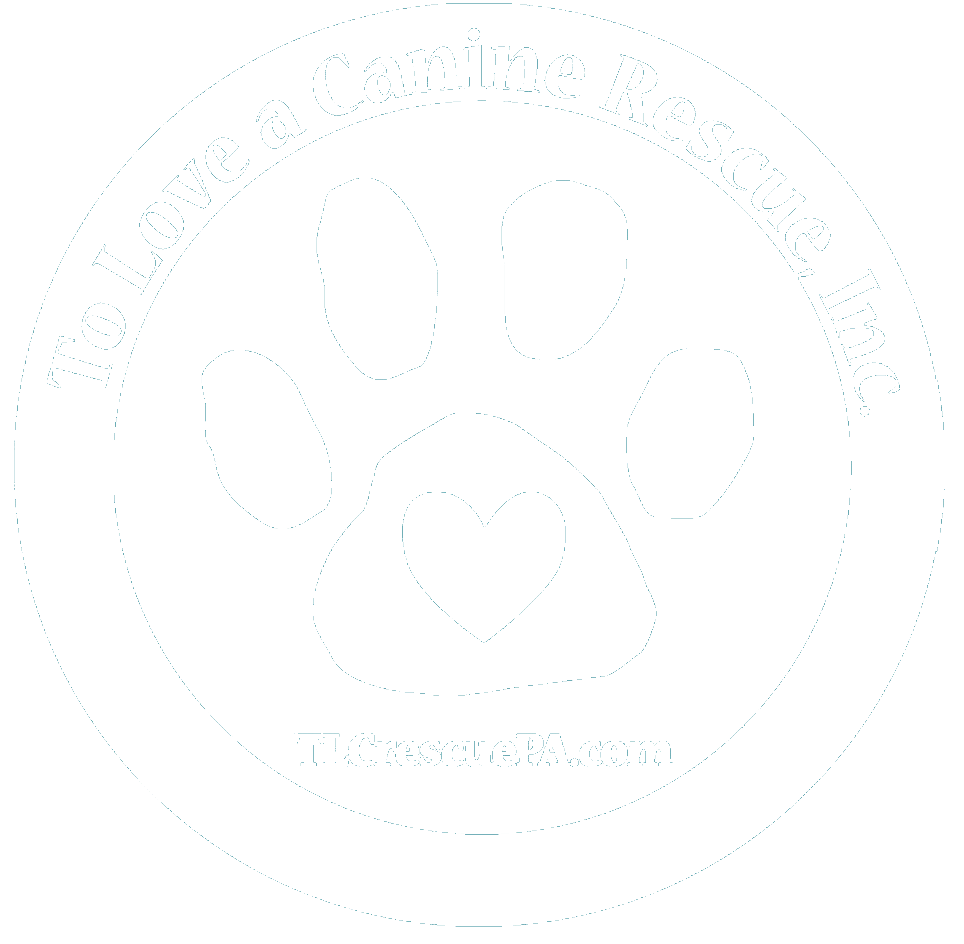Available Dogs — To Love a Canine Rescue, Inc.