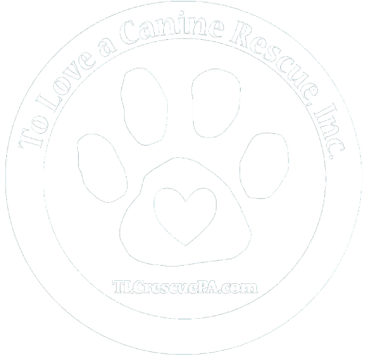 Available Dogs — To Love a Canine Rescue, Inc.