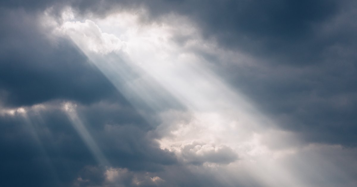 Dunedin Riding Academy