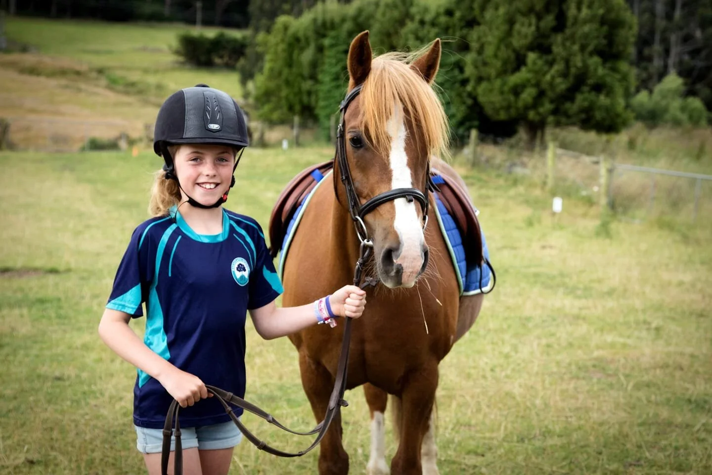 Lessons — Dunedin Riding Academy