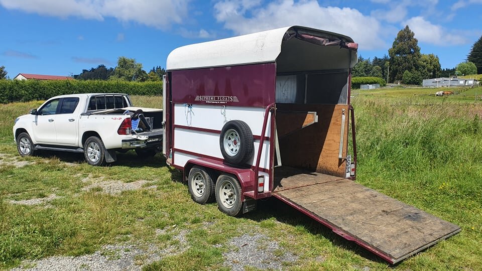 About — Dunedin Riding Academy