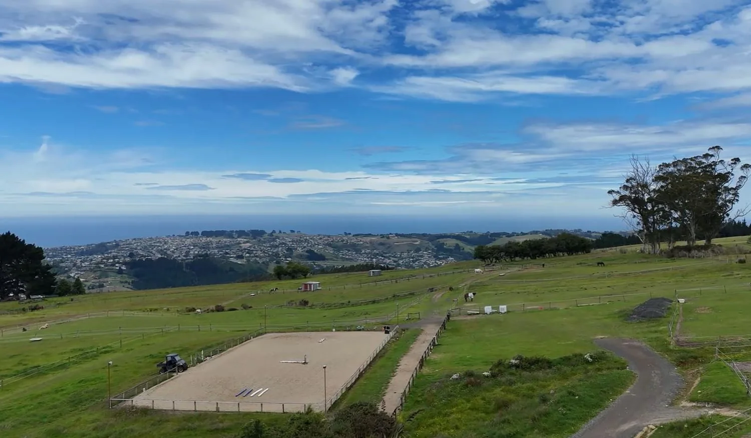 Contact — Dunedin Riding Academy