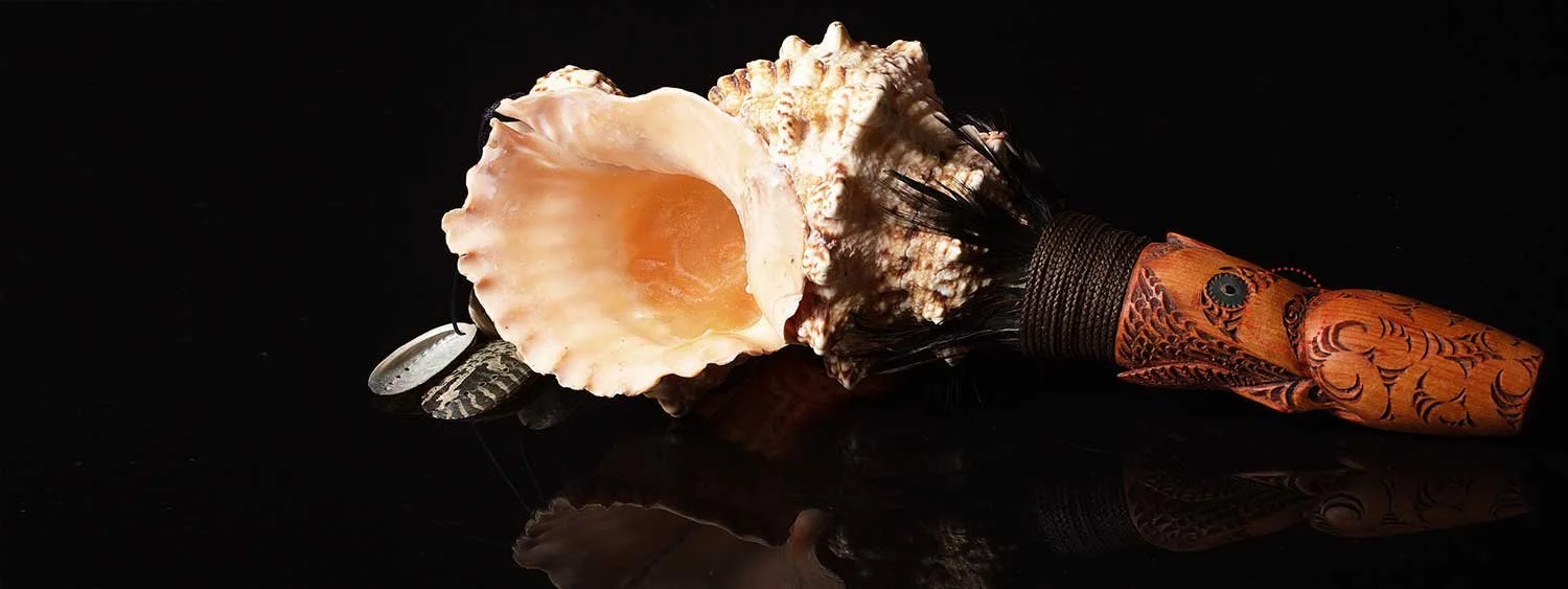 Nelson Provincial Museum