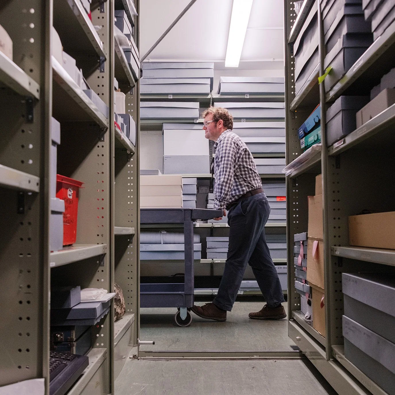 OPEN DAY : Isel Park Research Facility — Nelson Provincial Museum
