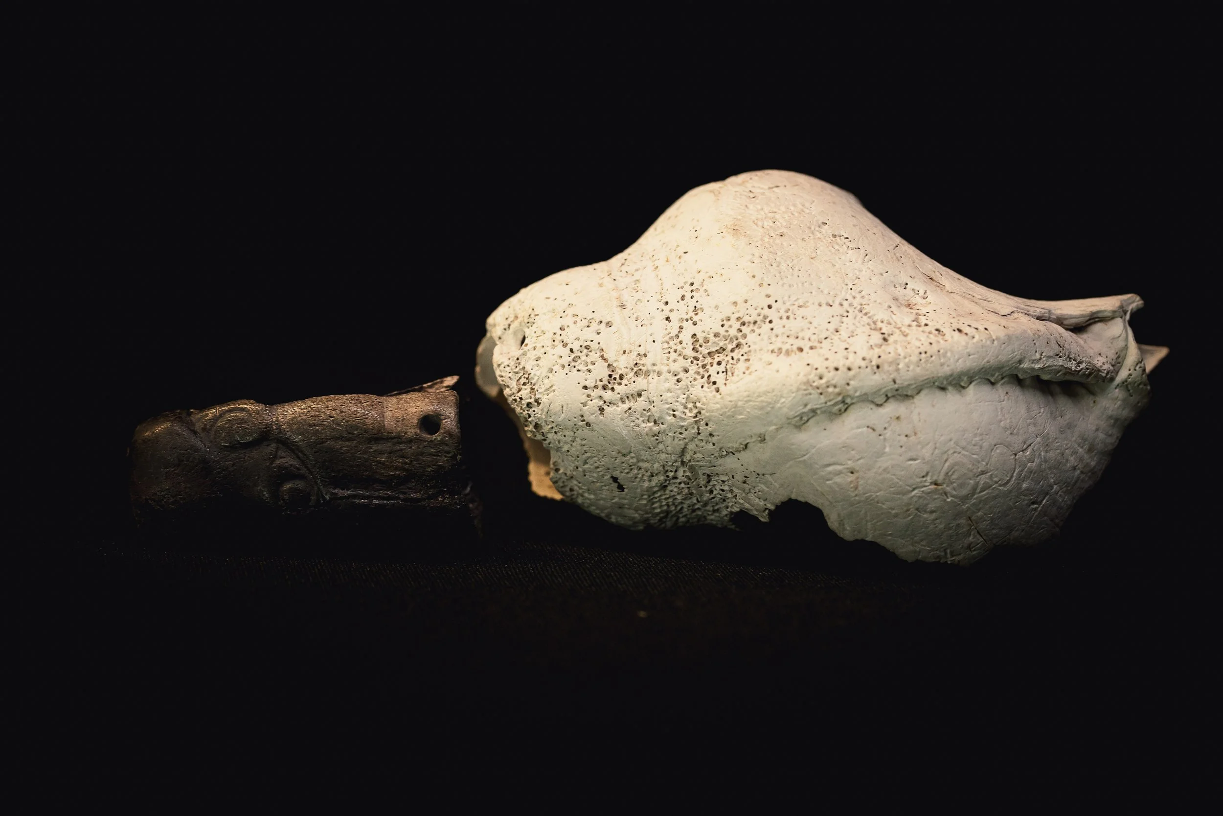 Celebrating taonga pūoro during NZ Music Month — Nelson Provincial Museum