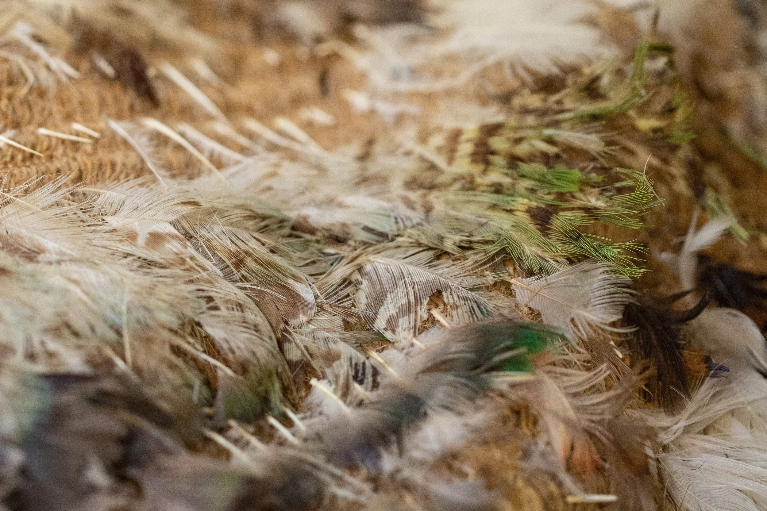 From korowai to kākahu: Expanding te reo Māori supports revitalisation ...